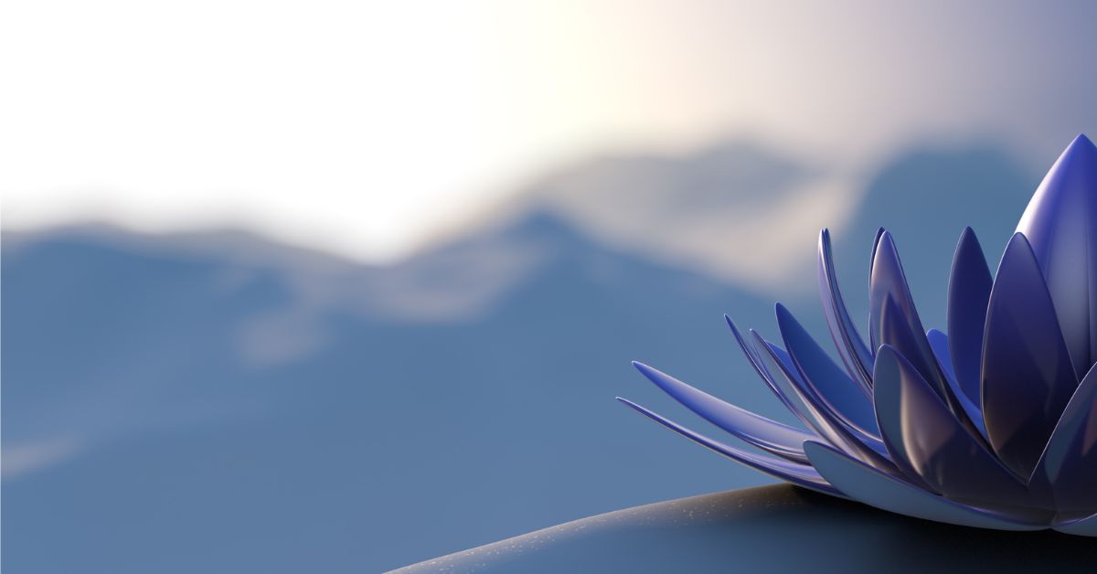 Phedros - Courses and Sessions